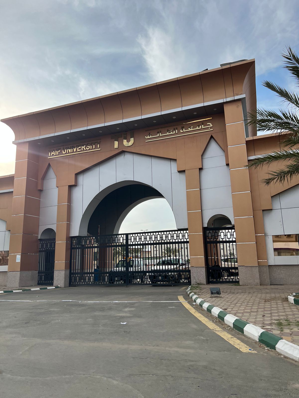 Taif University Guide